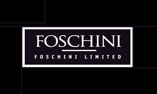 The Foschini Group Bursary 2026/2027 Online Application form pdf